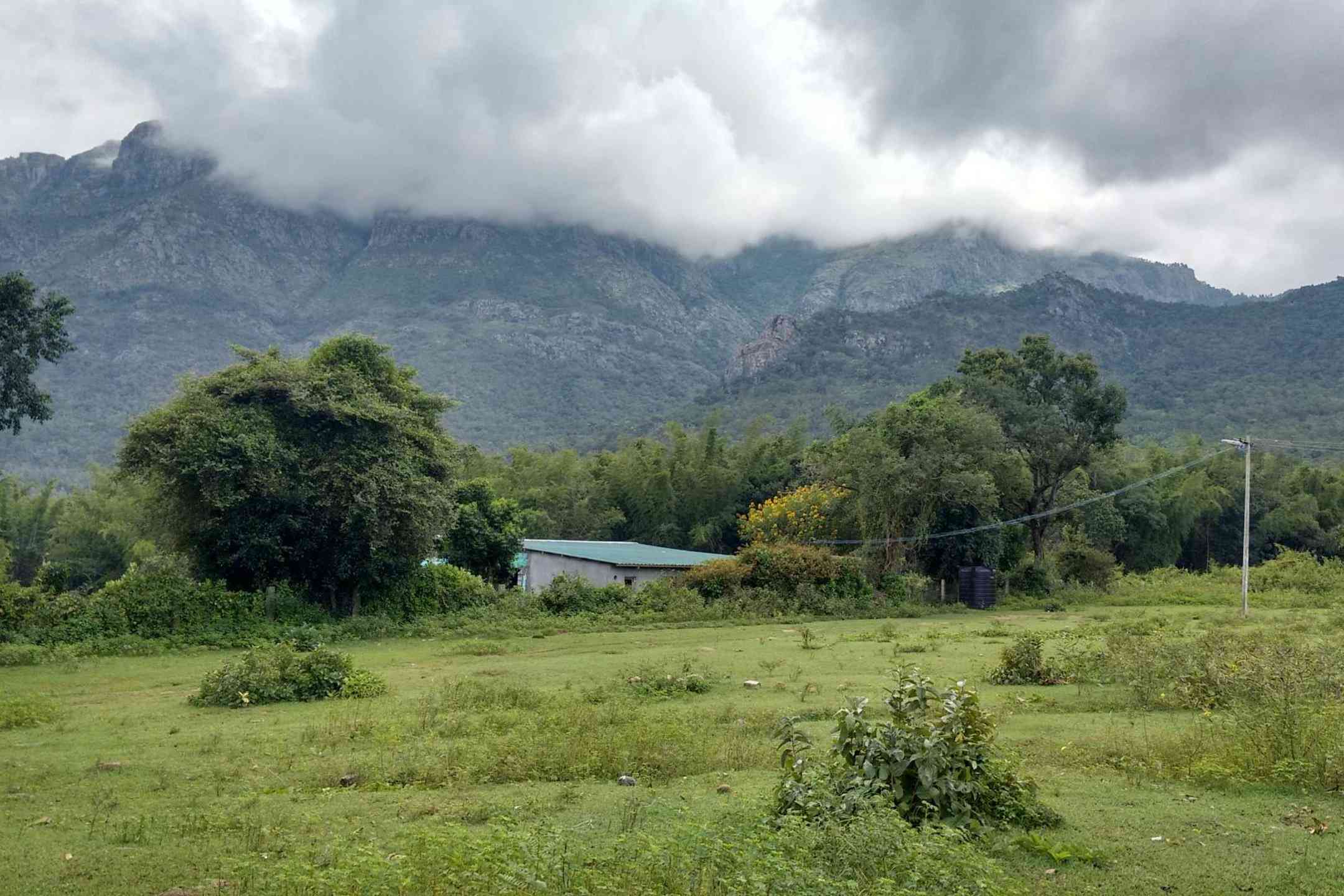 Mudumalai Tiger Reserve | Official Website of Mudumalai Tiger Reserve ...